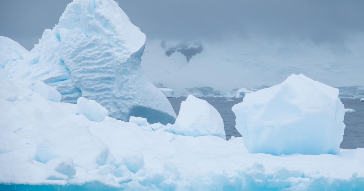 WINTRY SHERWOOD - BUT NOT AS WINTRY AS THE PICTURE - Ramblers