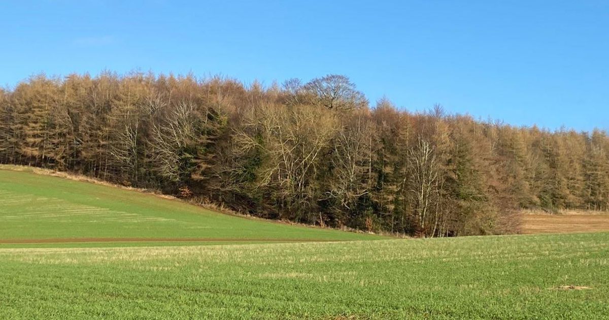 BNO - Bodicote, pre-AGM stroll - Ramblers