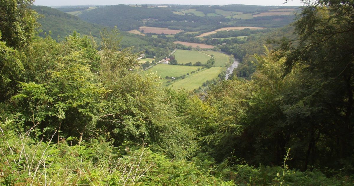 Woods, Walls and Water. Lower Wye Rambles Booklet: Ramble 8 - Ramblers