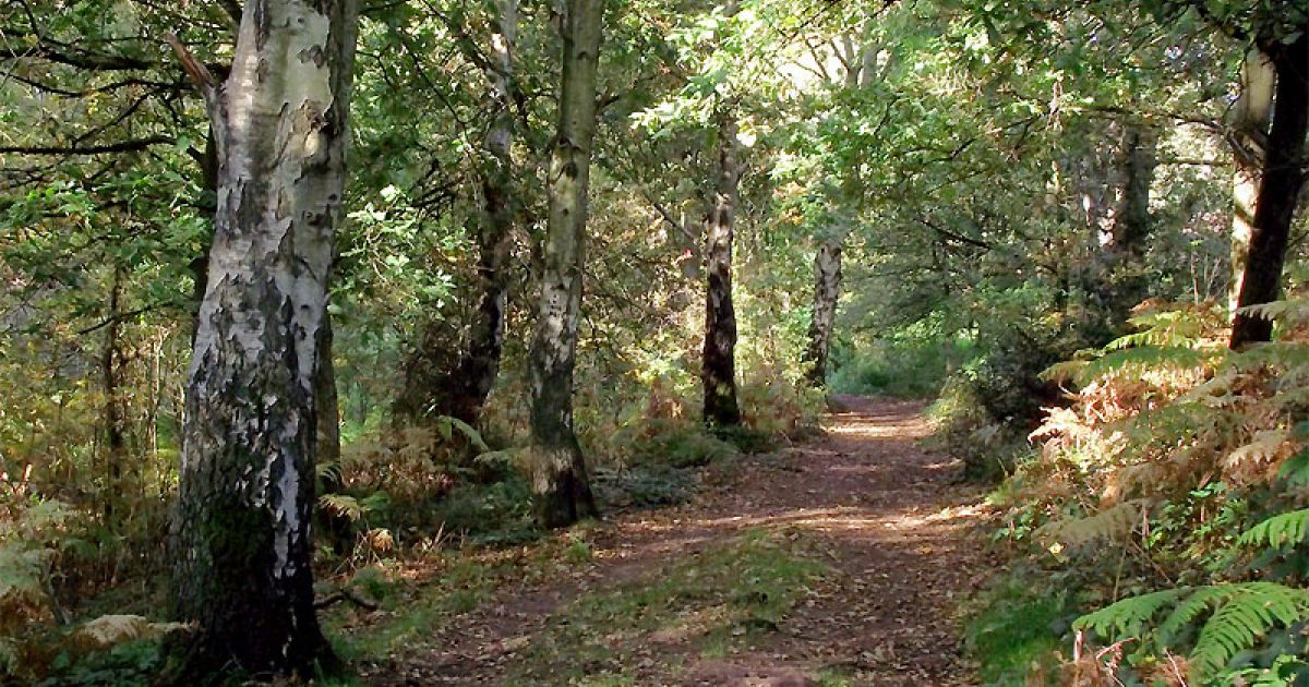 Trysull & Highgate Common Circular - Ramblers