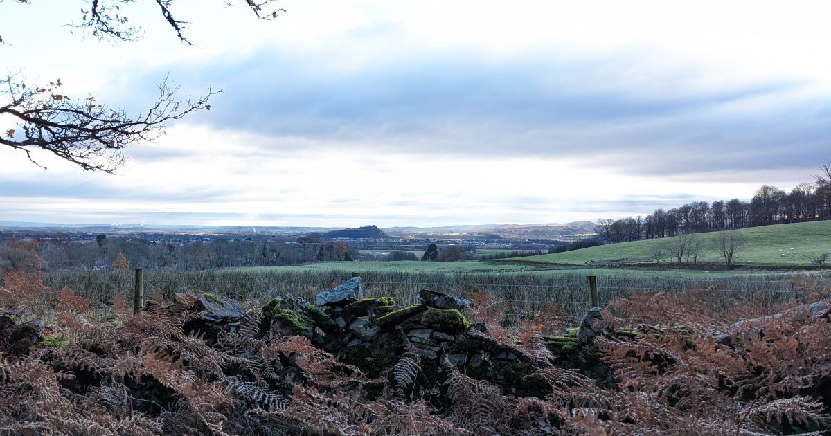 Kier House and bluebell woods - Ramblers