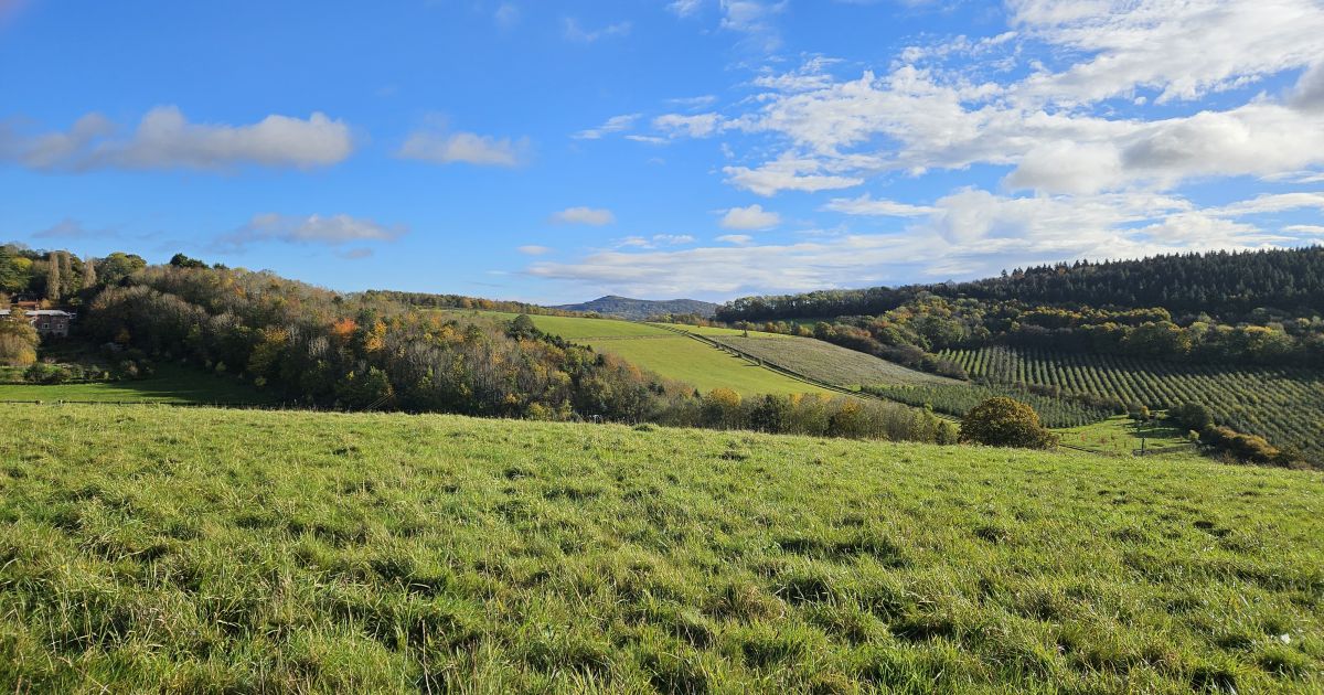 Ledbury - Ramblers