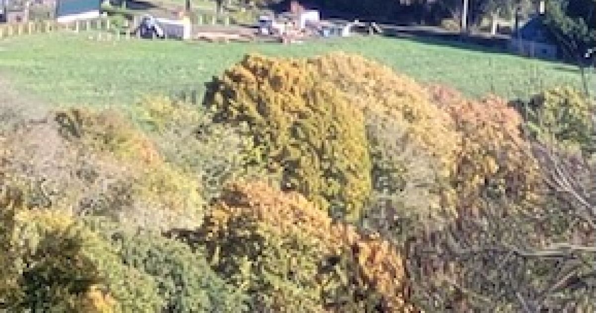 Monnow Valley Circular - Walterstone & Clodock - Ramblers