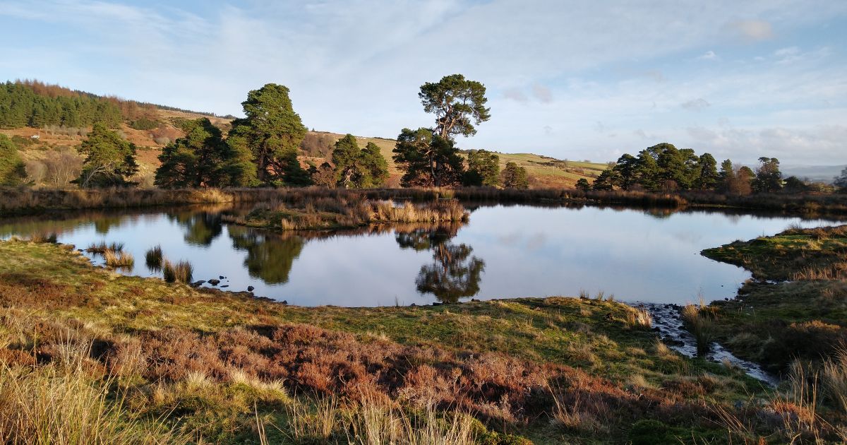 Braco Countryside - Ramblers