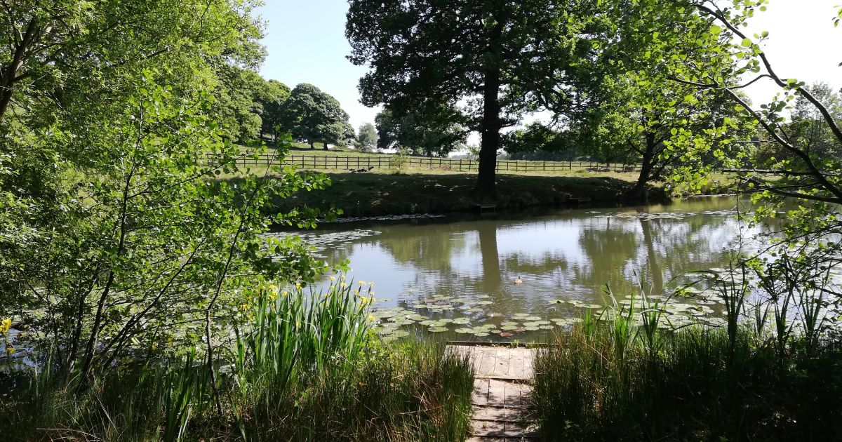 Hardwick Area - Ramblers