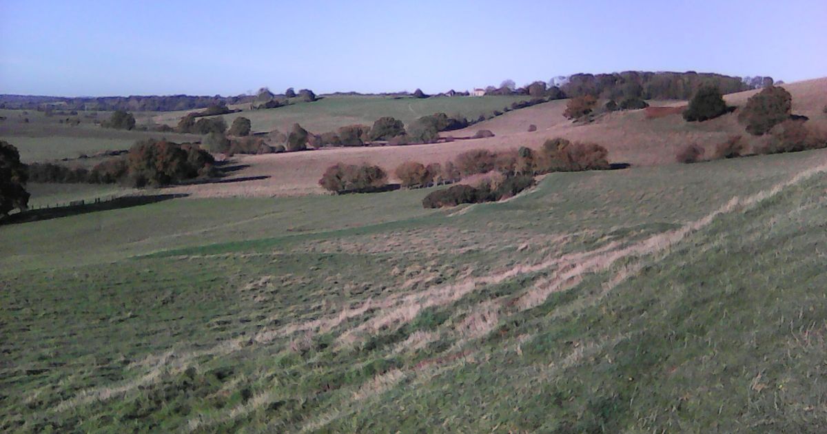 Stone In Oxney circular - Ramblers
