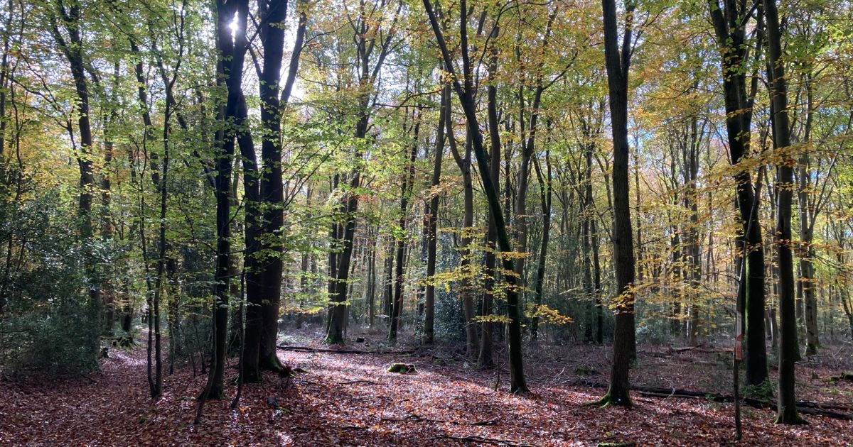 Booking required – Goring Heath, Nuney Green, Mapledurham and Collins ...