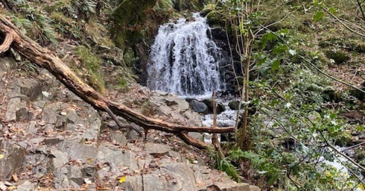 Tarn Hows and Coniston Loop - Ramblers