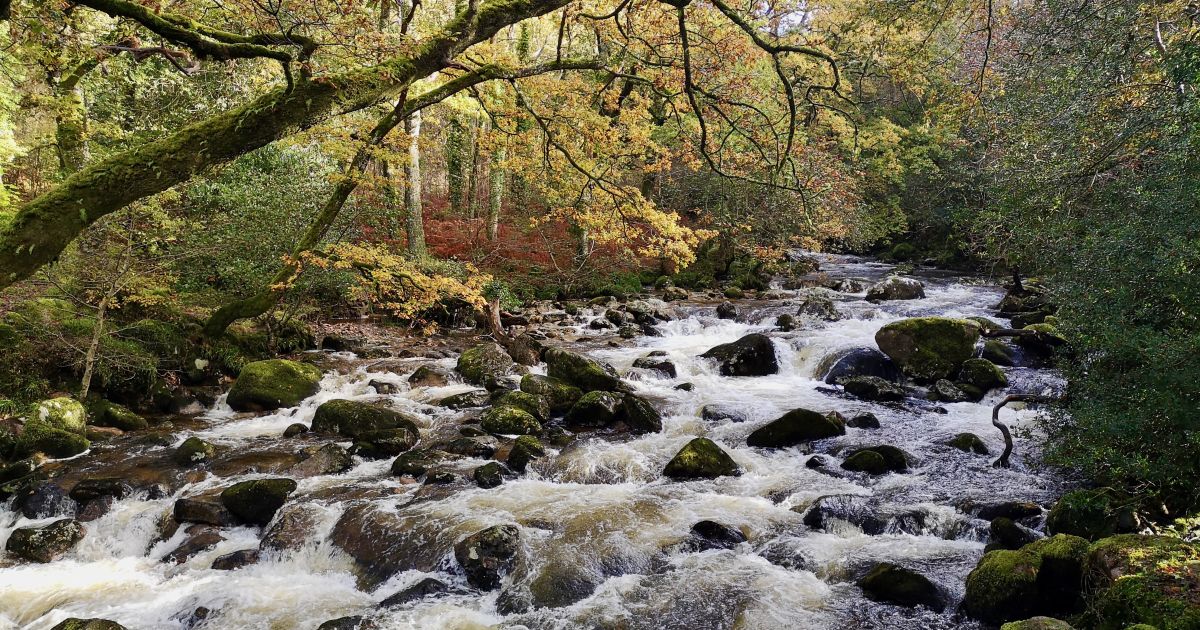 Cadover Bridge walk by two rivers - Ramblers
