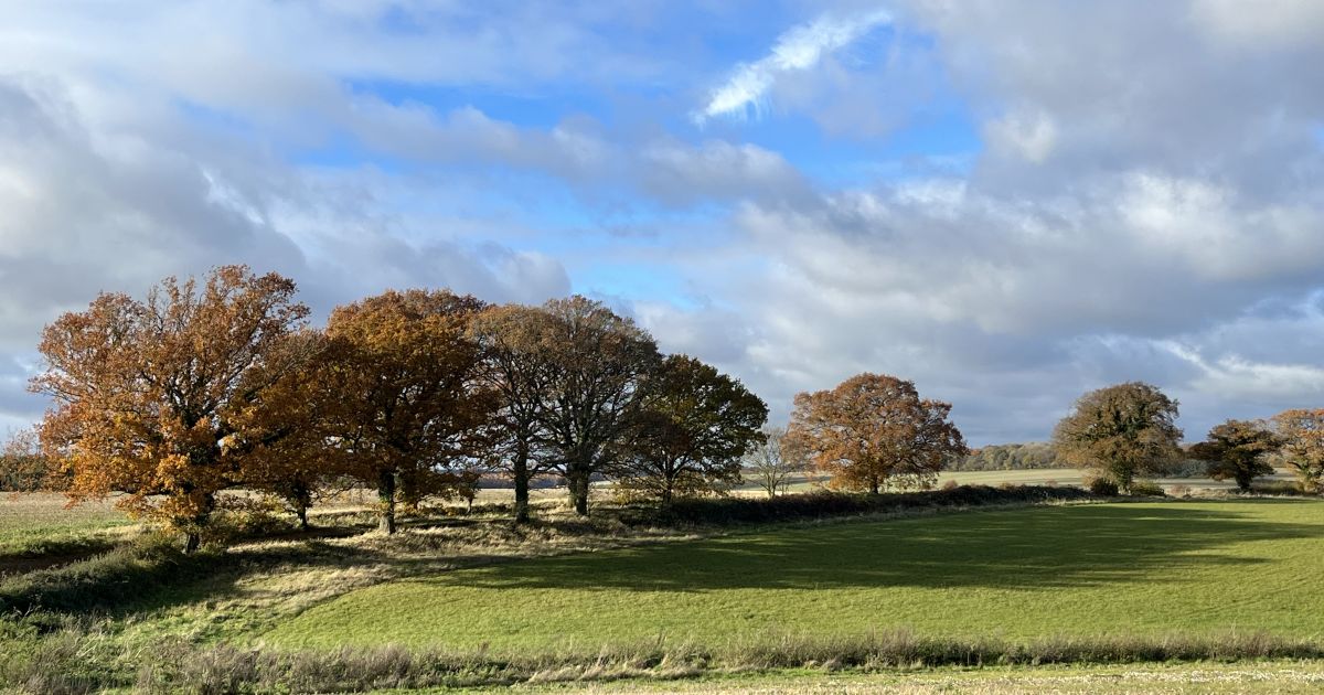 Froxfield Circular: Cake Wood, Bottom Coppice, Little Bedwyn & Jugg's ...