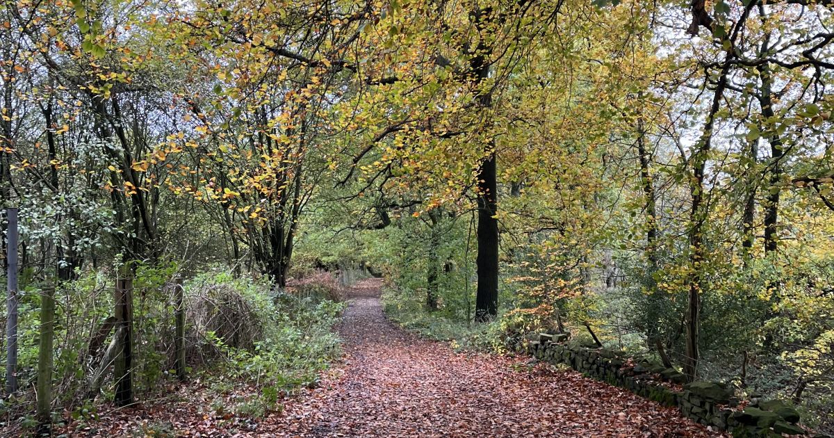 Disley to Hazel Grove - Ramblers