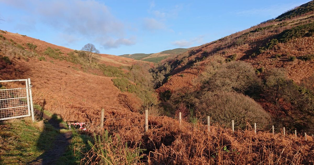 Menstrie to Bridge of Allan - Low Walk - Ramblers