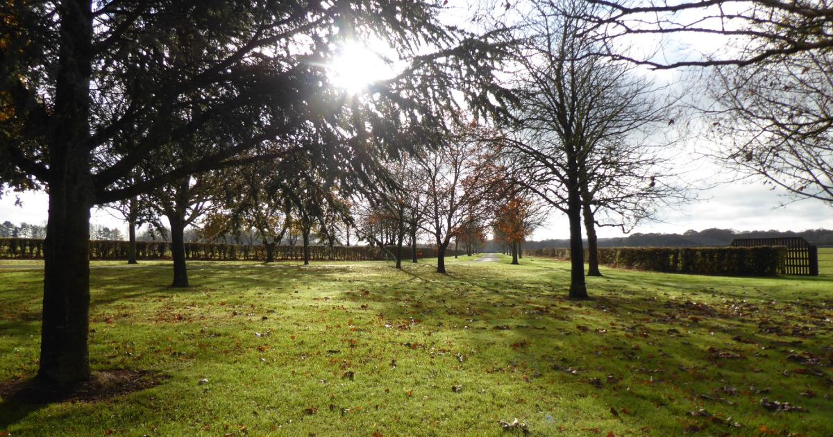 Devil's Ditch and Icknield Way - Ramblers