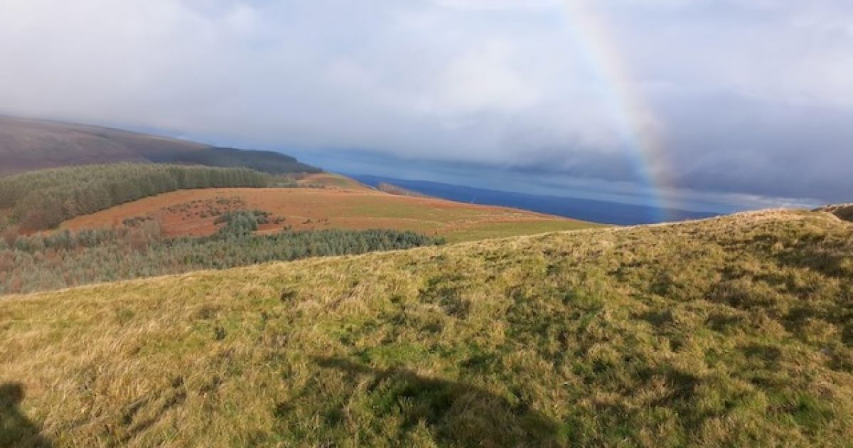 The Nant Carn valley and Henllys ridge walk - Ramblers