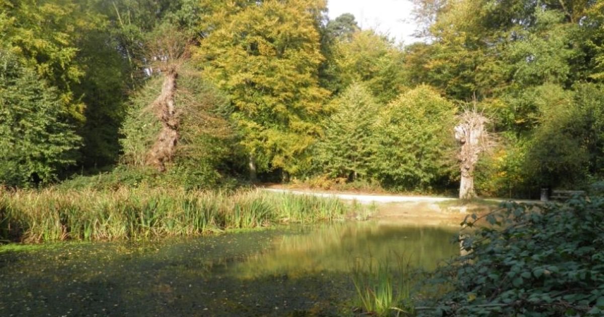 Sarratt and Chipperfield Common - Ramblers