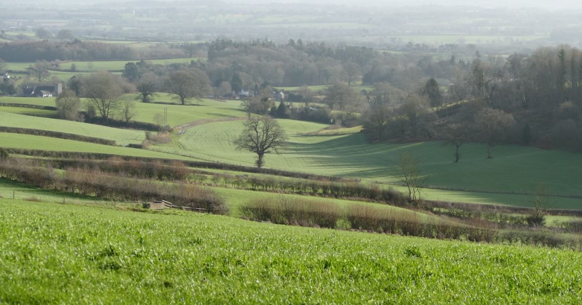 Titley Circuit - Ramblers