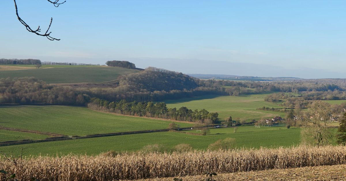 Hambledon circular - Ramblers