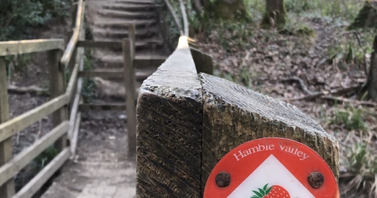HAMBLE VALLEY STRAWBERRY TRAIL LEG 1 - Ramblers
