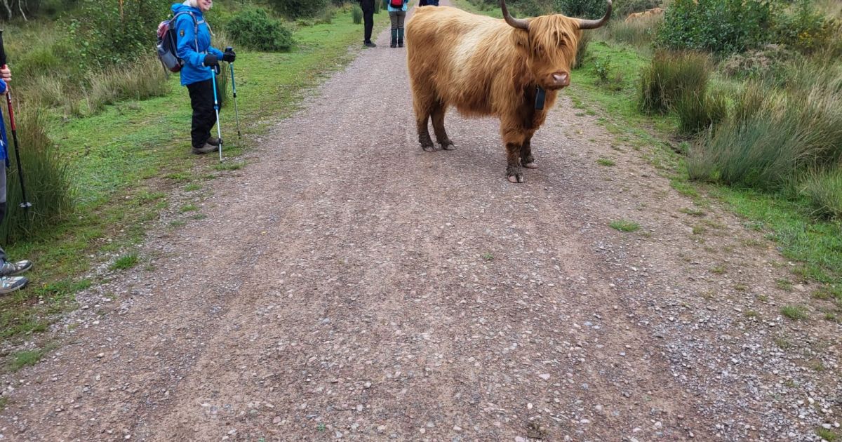 Forest of Dean - Autumn in the Nature Reserves - Ramblers