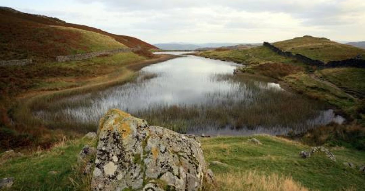 Alcock Tarn, Rydal and Grasmere - Ramblers