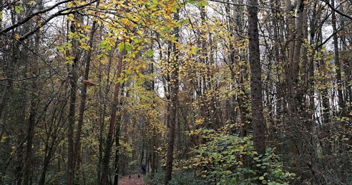 PURBROOK HEATH - Ramblers