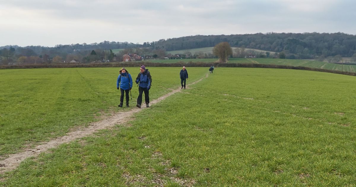Kings Sombourne Circular - Ramblers