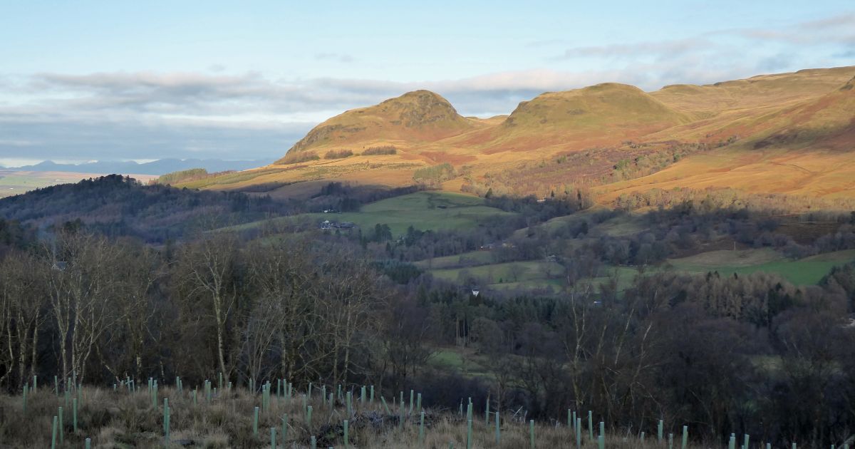 Mugdock to Carbeth Loch and back - Ramblers
