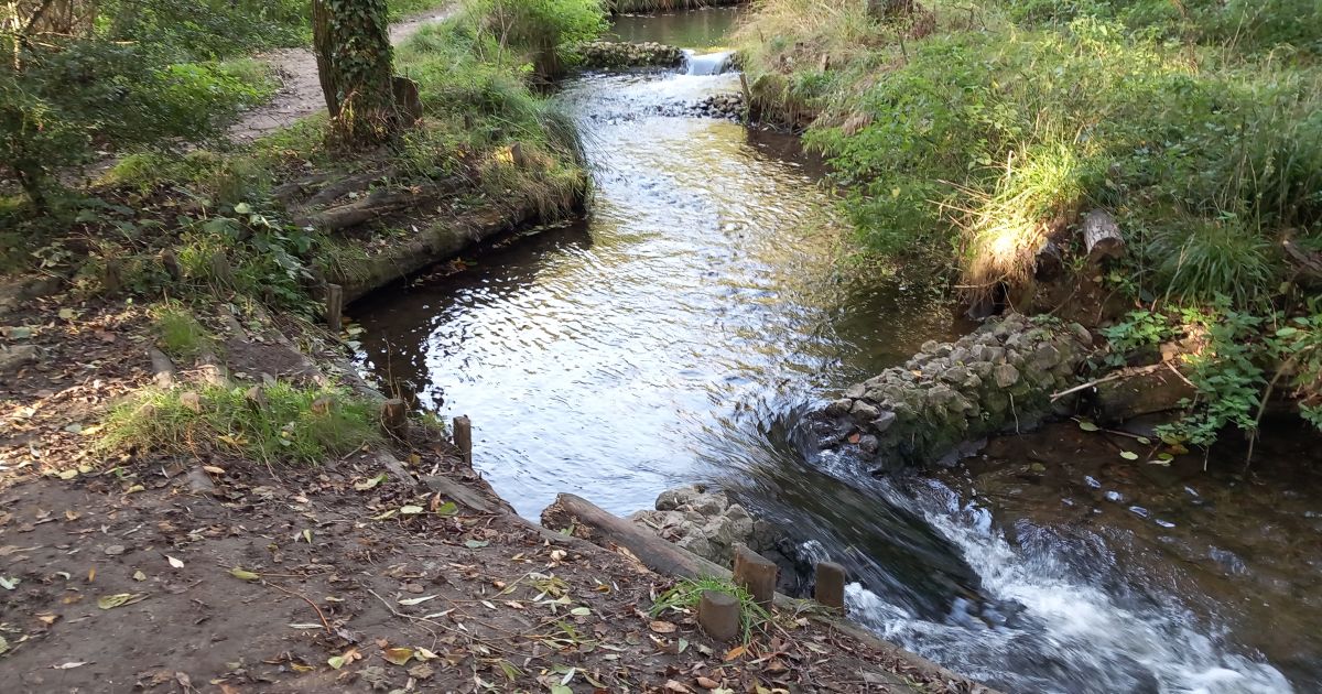 Singleton walk - Ramblers
