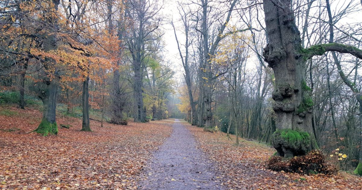 Wigginton, Hastoe and Tring Park - Ramblers