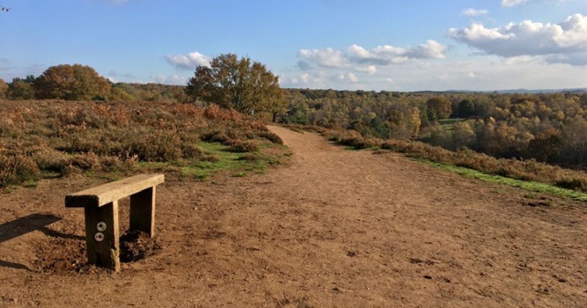 Puttenham Common - Ramblers