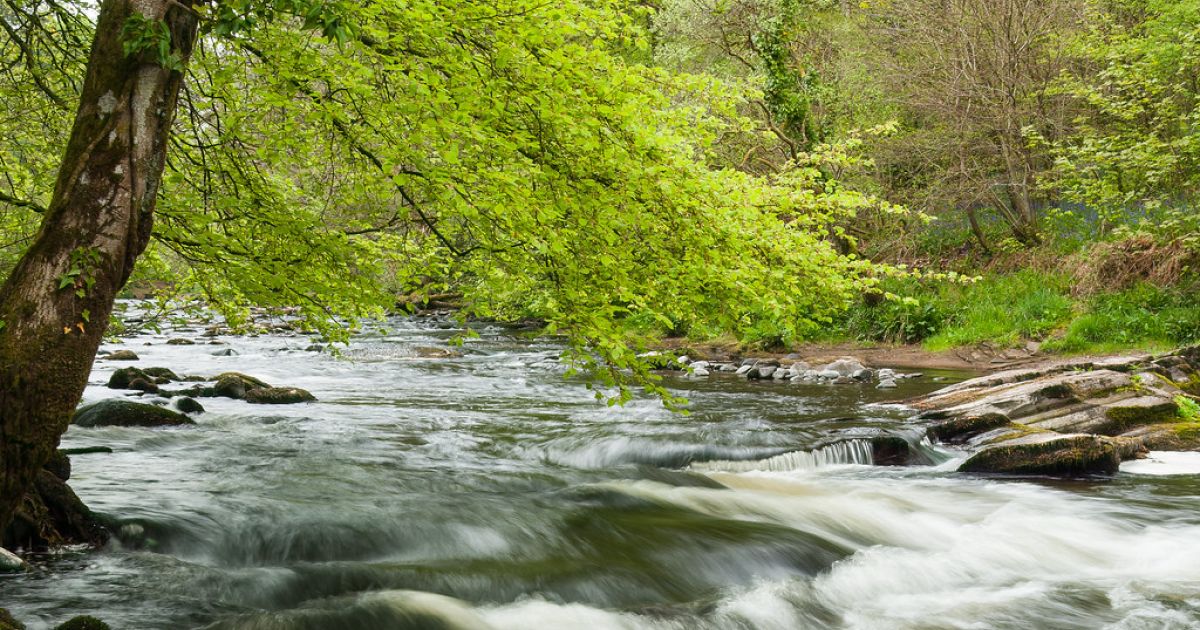 Bridge of Allan to Dunblane Circular - Ramblers