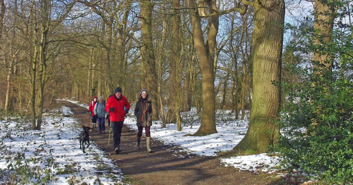 Hatchlands Not So Long Long Walk - Ramblers