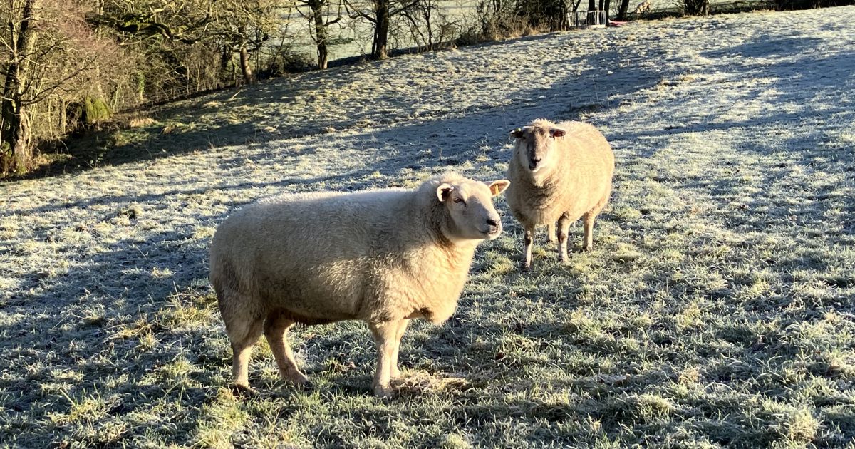 Join us on this circular walk from Ashbourne! - Ramblers