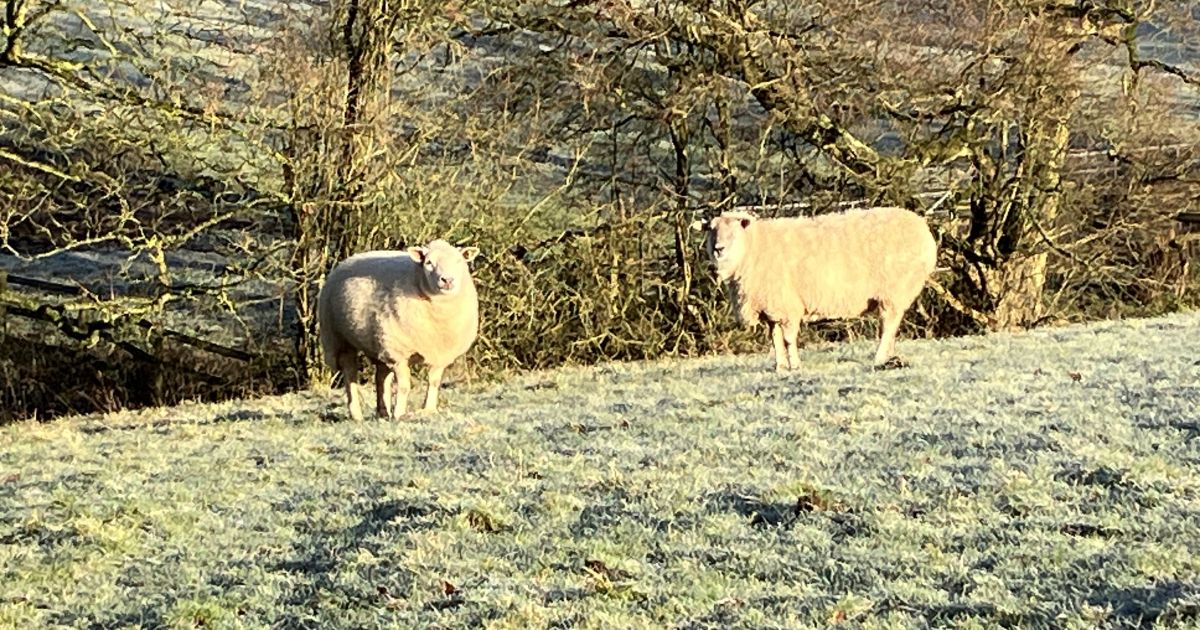 Circular walk from Ashbourne - booking required - Ramblers