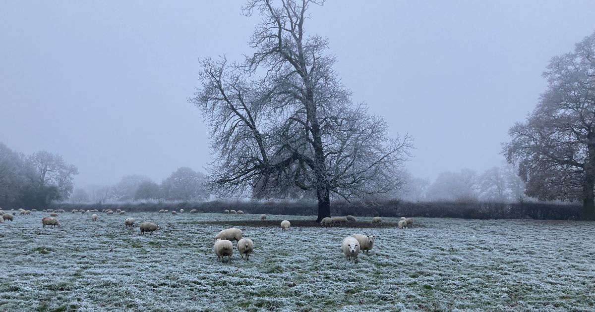 Chesterfield- Somersall Park - Ramblers