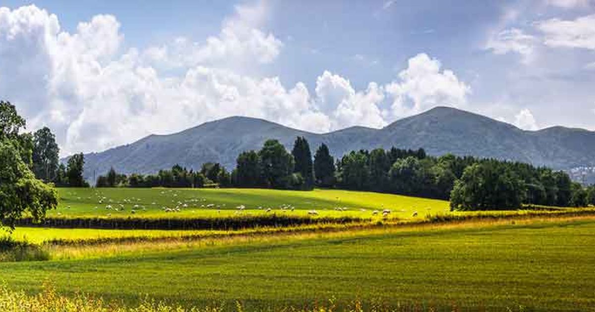 Colwall, Malvern Hills, A walk ("Keep Fit for a Fiver" - BOOKING ...