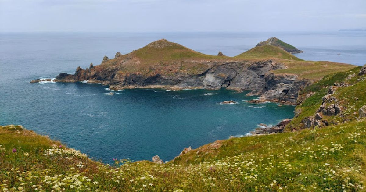CHRISTMAS CAKE WALK AROUND THE RUMPS. All welcome. Bookings required ...