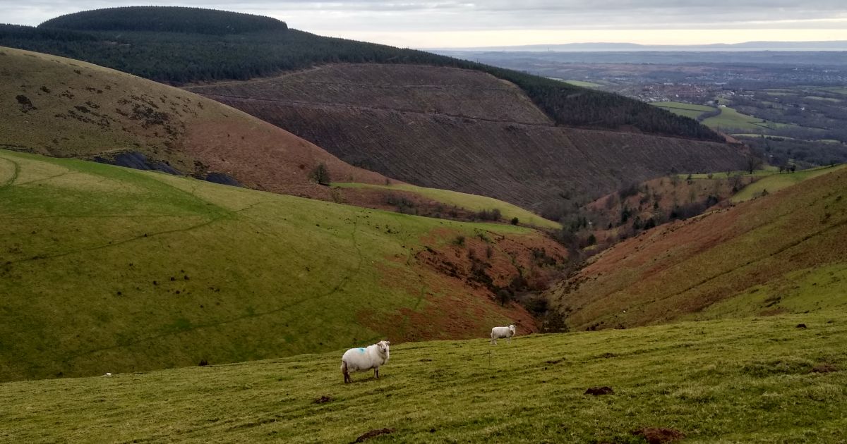 Rail Ramble: Llynfi Valley. Need to register with walk leader, Mike K ...