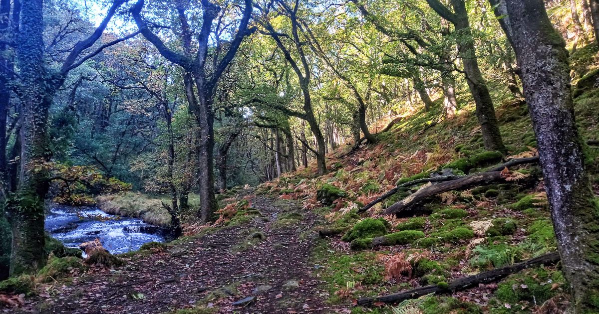 A varied walk from Meldon through Okehampton. - Ramblers