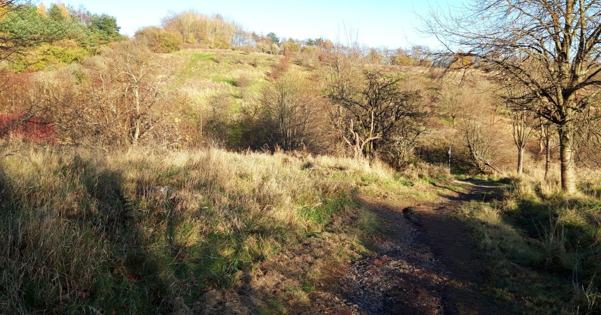 Cathkin Braes - Ramblers