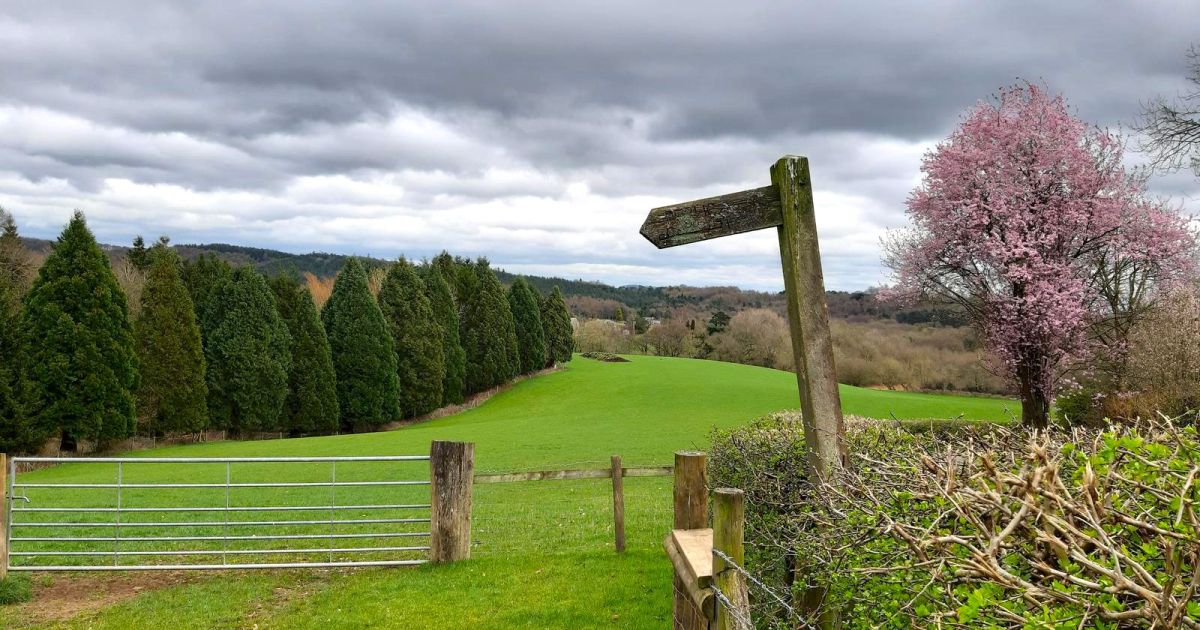 Kingsford Bodenham Arboretum - Ramblers