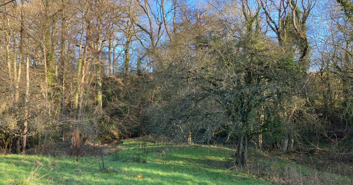 Orchards and Dingles around Almeley - Ramblers