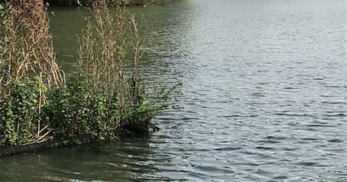 Manchester Green Trail walk 3 : Boggart Hole Clough to Heaton Park ...