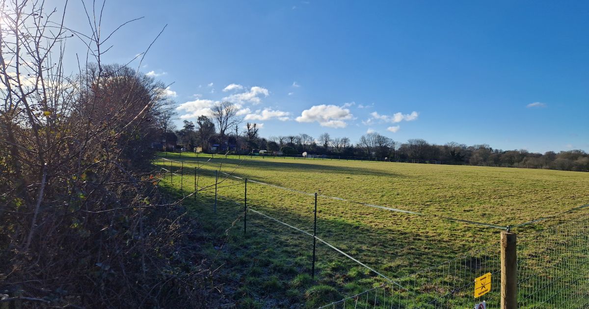 Green Dene to Dogkennel Green with some Lovelace Bridges - Ramblers