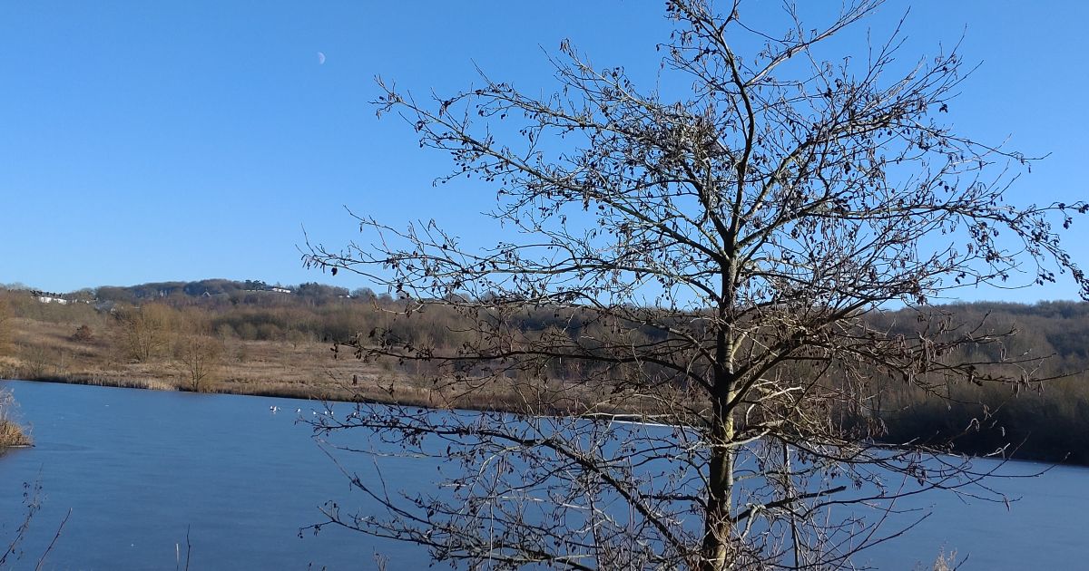 Apedale & Silverdale country parks and Bateswood Nature Reserve - Ramblers