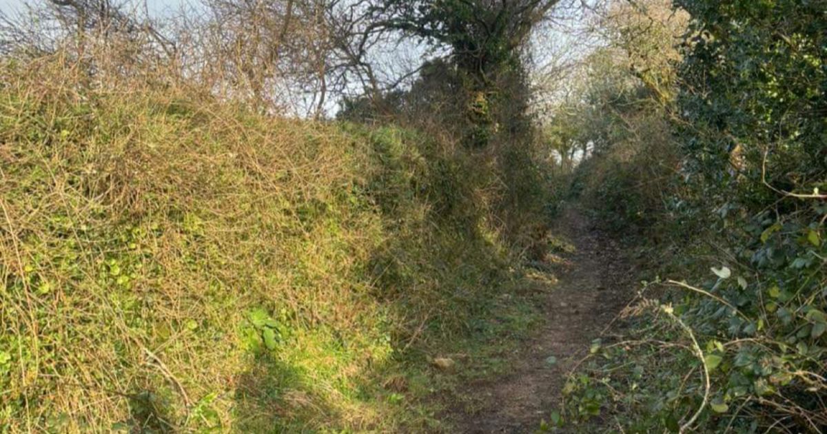 Constantine Circular - Ramblers