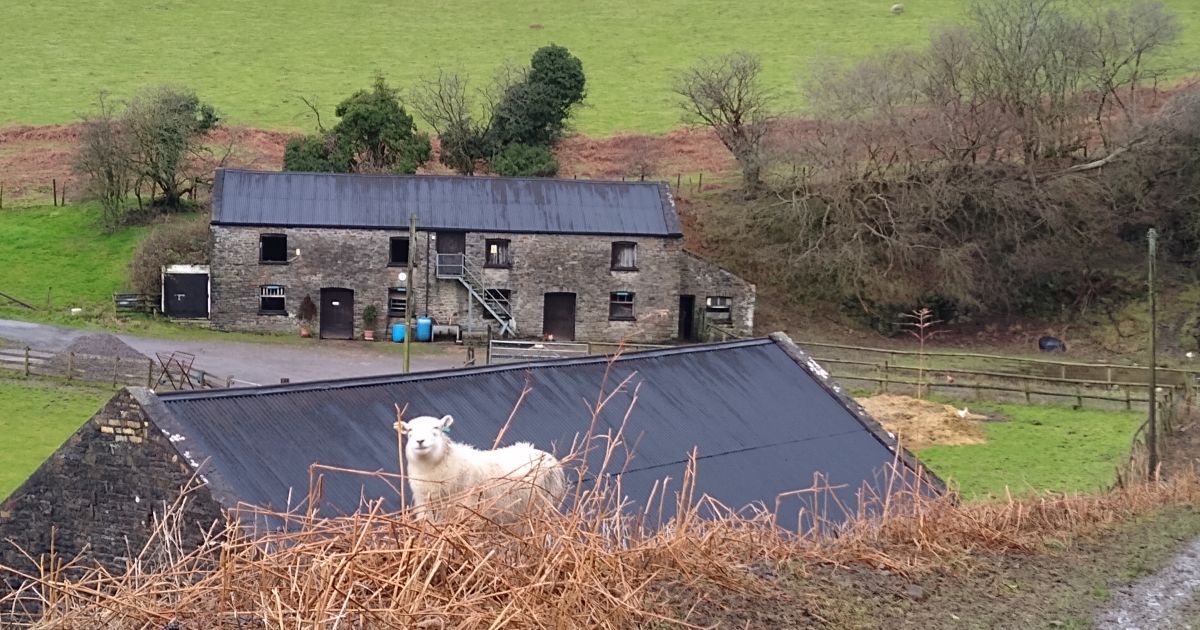 Llanharan and St Peters - Ramblers