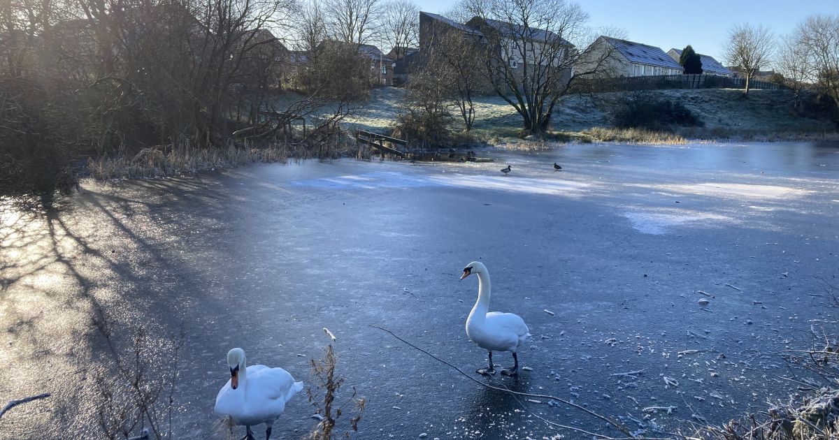 WALK FULL Kirkintilloch to Croy - Antonine Wall - Ramblers