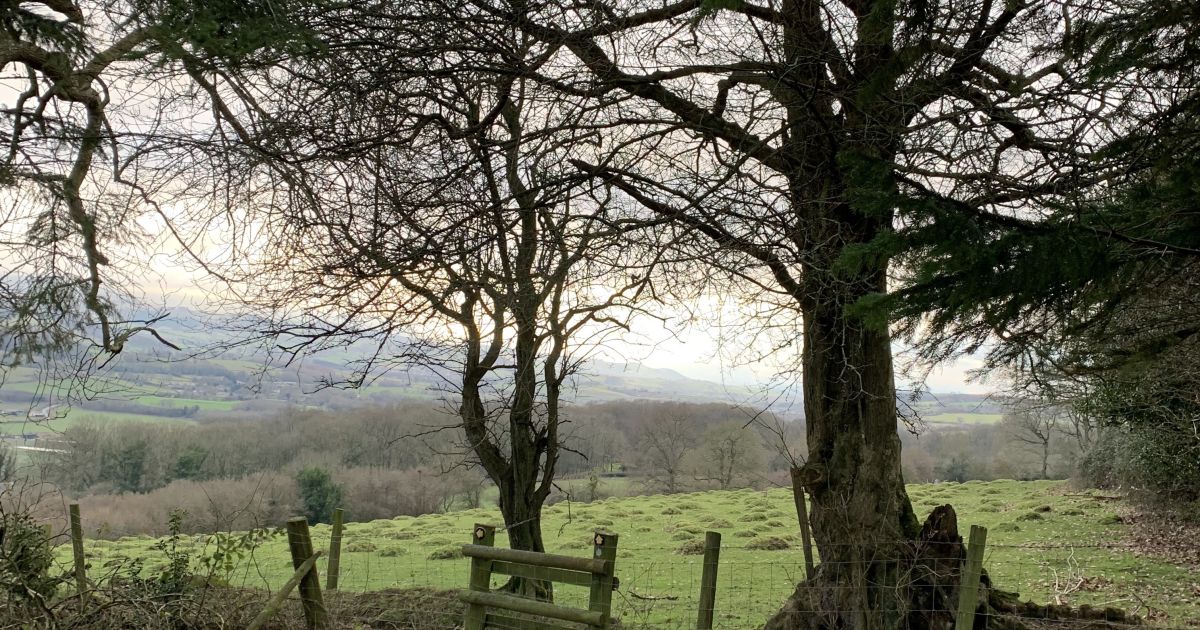 Rhydspence circular - Ramblers