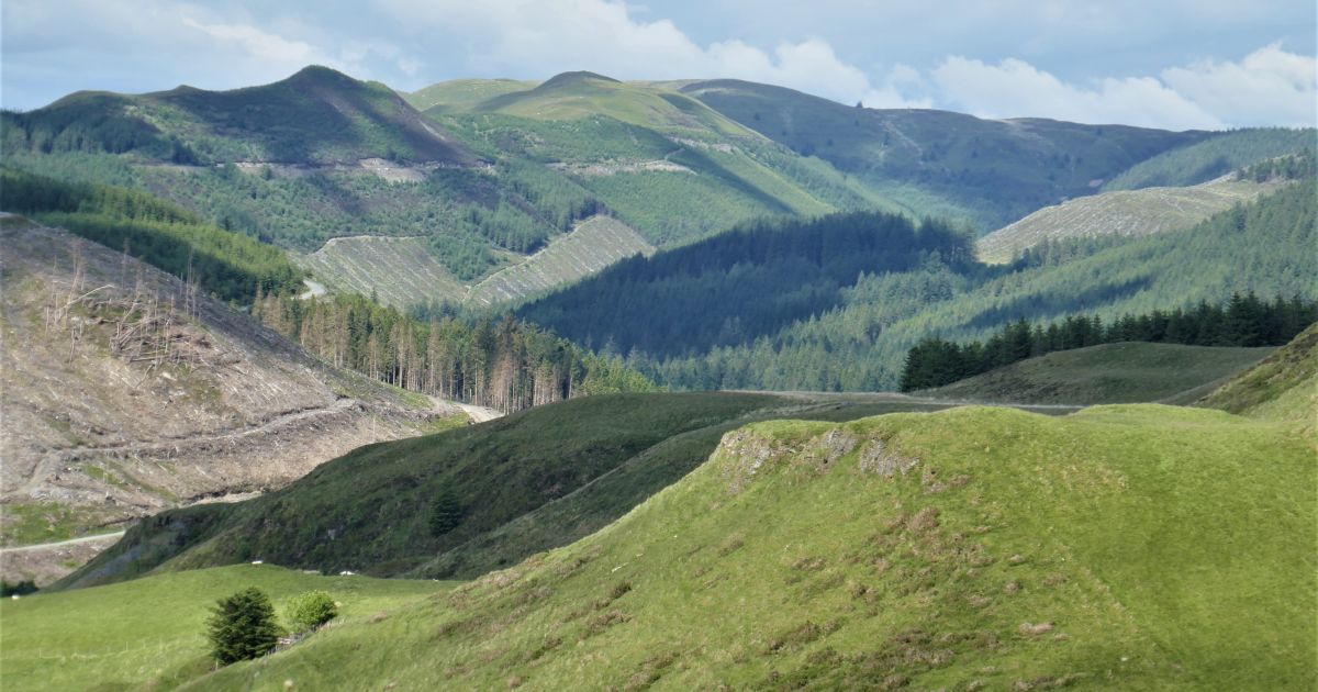 Circular walk from Devils Bridge/Pontarfynach via the head of the Mynach valley. - Ramblers